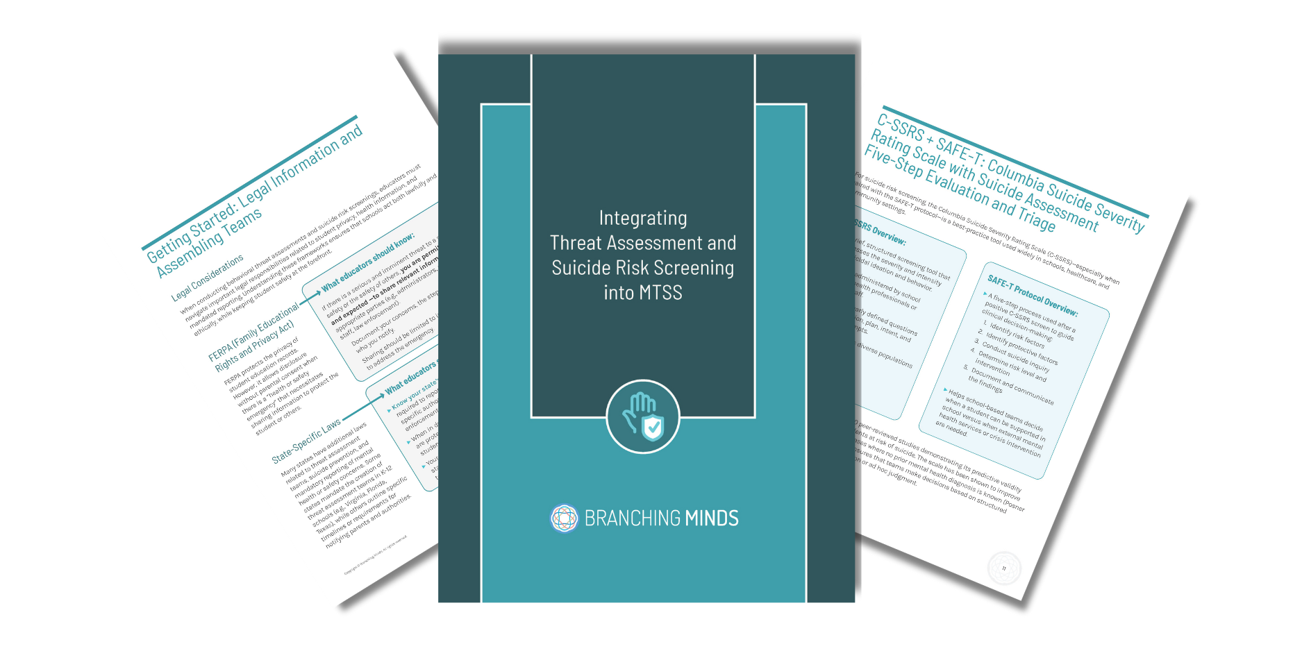 MTSS Program - MTSS Platform - RTI Program